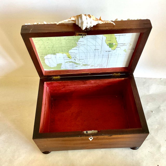 Antique Shell Collectors Box | Chairish