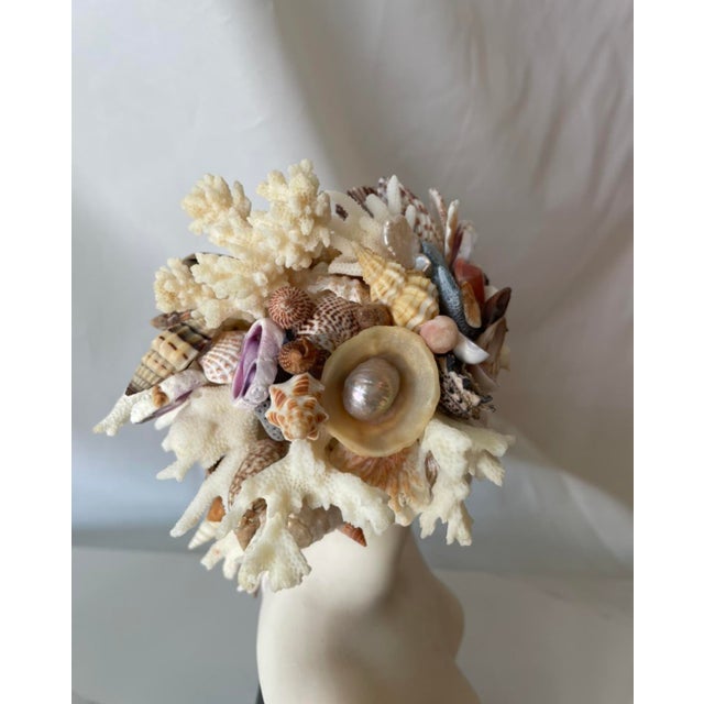 Christa's South Seashells Small Aphrodite Head | Chairish