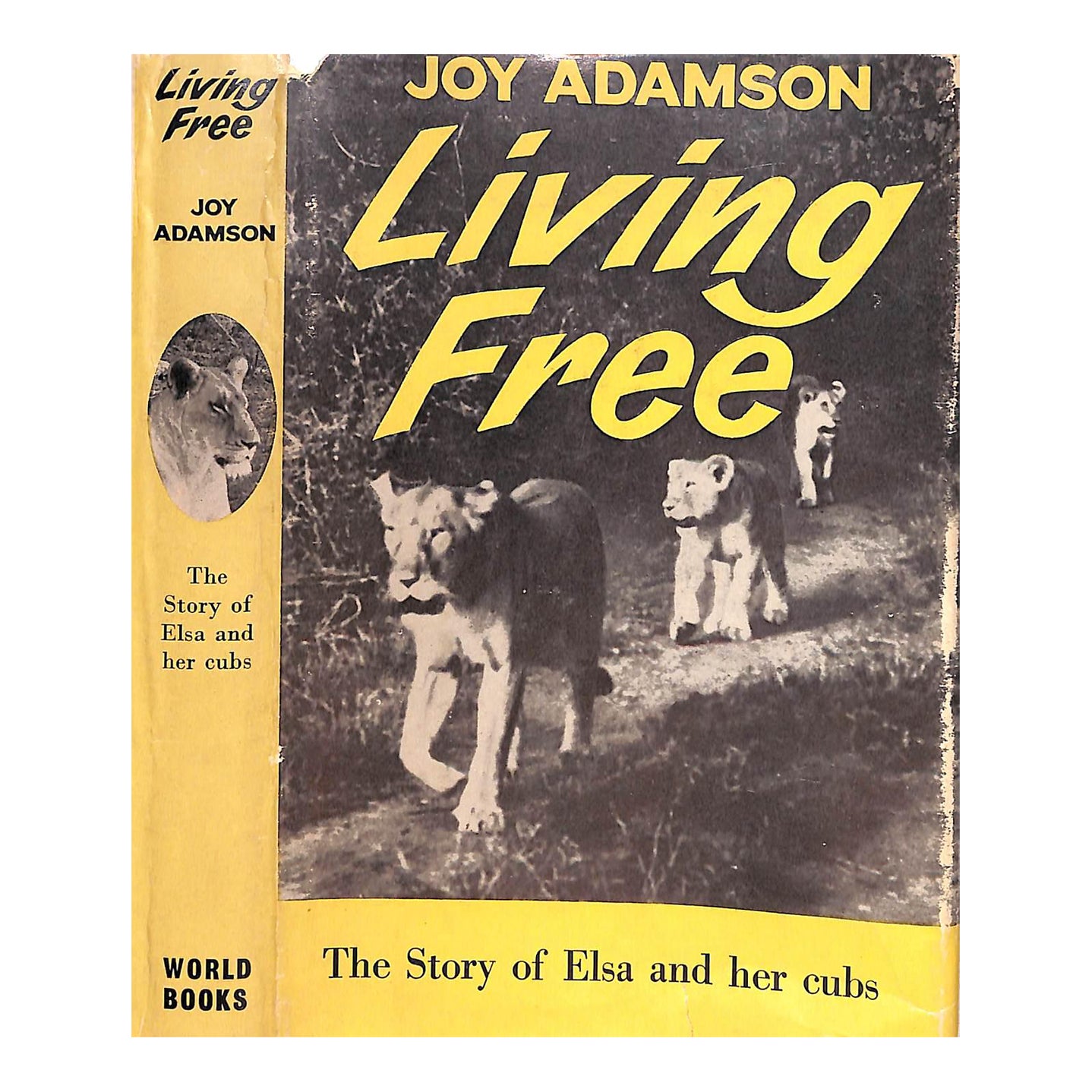 "Living Free: The Story of Elsa and Her Cubs" 1961 Adamson, Joy | Chairish