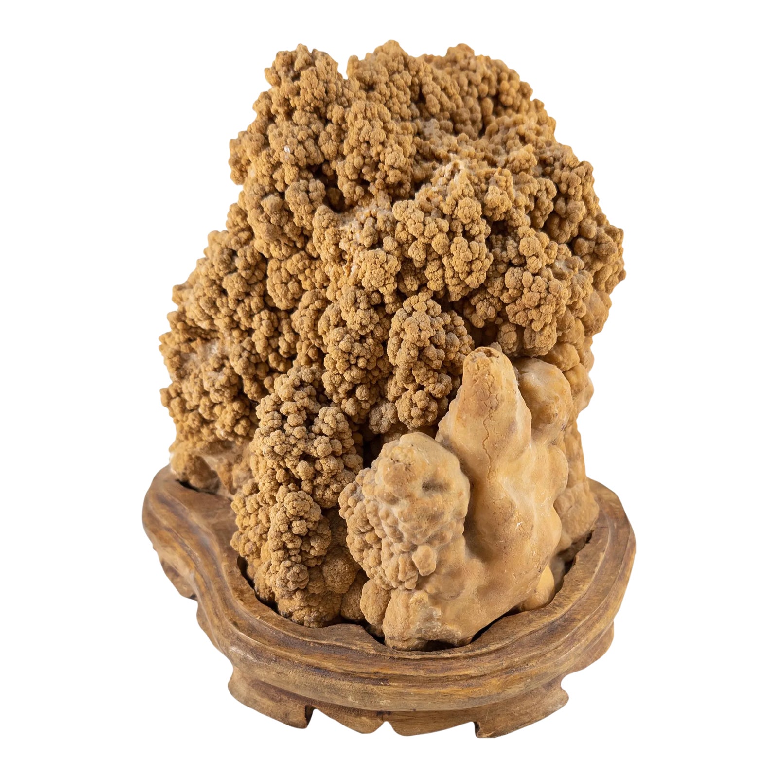 20th Century Decorative Globular Limestone Stalagmite Chinese Scholar's ...