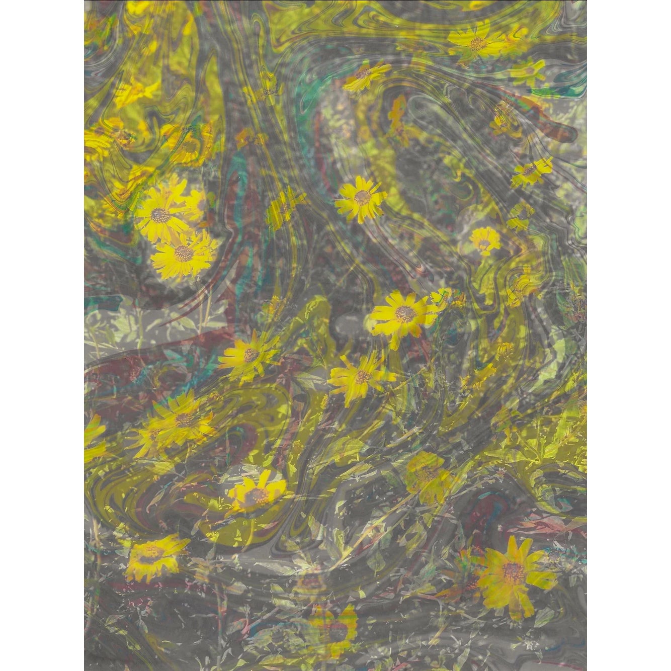 Wild Dream Suminagashi Marbling Ink and Photography on Paper | Chairish