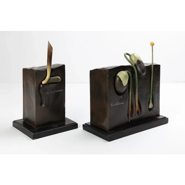 Botanical Didactic Models, 1930s, Set of 2 | Chairish