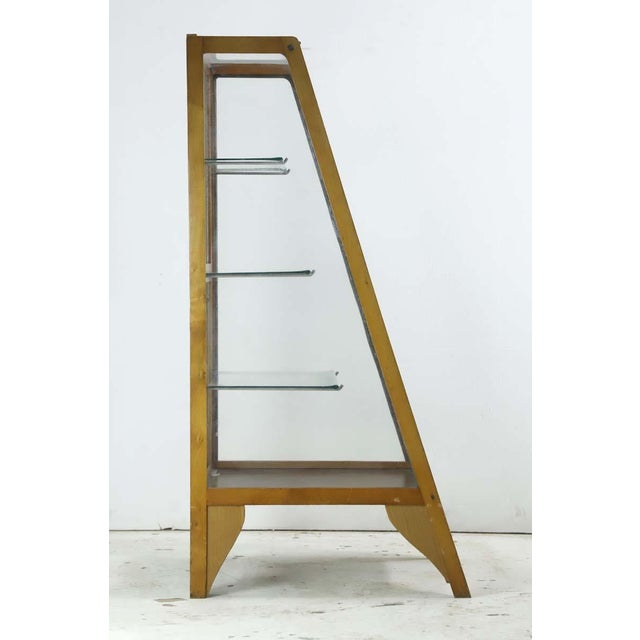 Mid 20th Century Vintage Slanted Front Glass Shelves Display Case ...