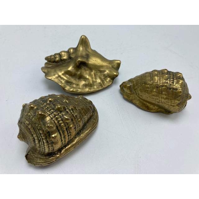 Vintage Brass Shells- Set of 3 | Chairish