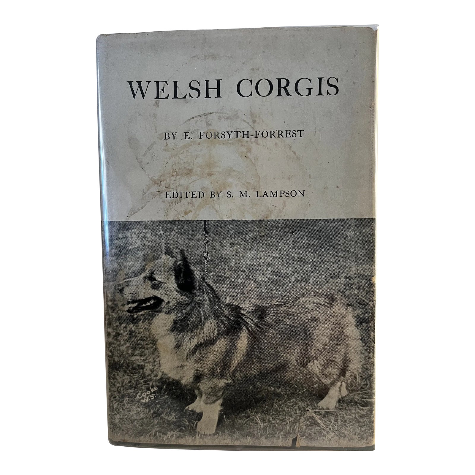 1955 Welsh Corgis Book | Chairish