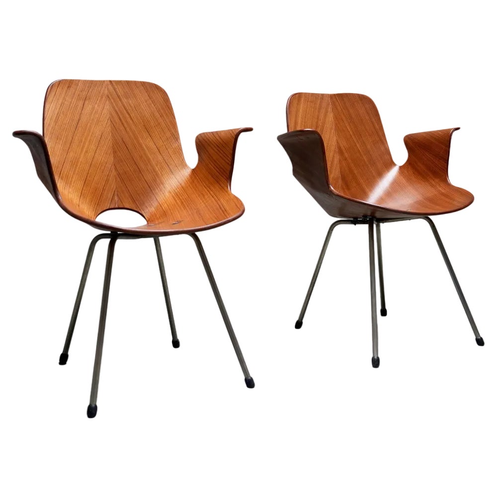 Set of Medea Armchairs by Vittorio Nobili for Fratelli Tagliabue, 1955 ...