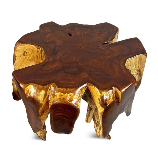 Organic Teak Root Side Table | Chairish