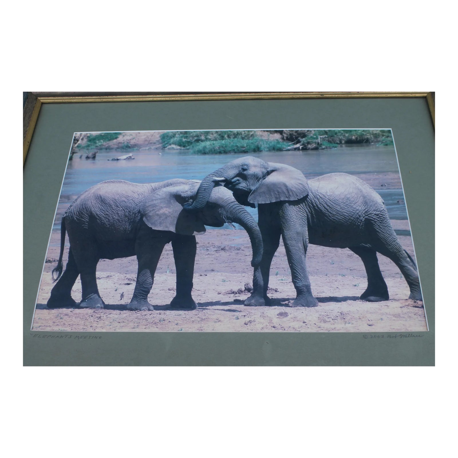 Mid Century Framed & Matte Photograph by Bob Wallace - Elephants Meet ...