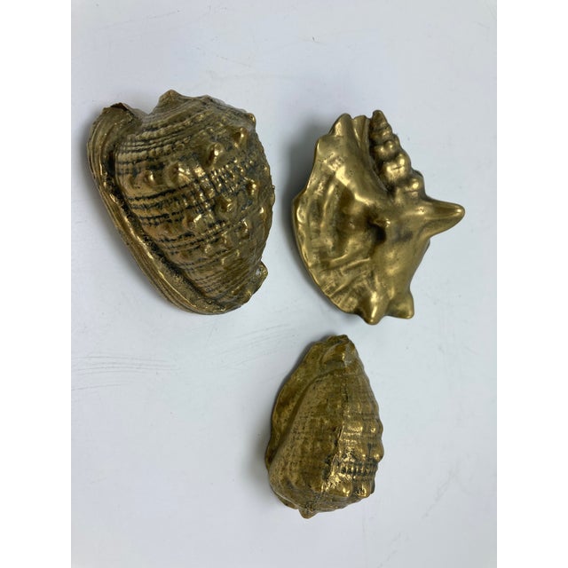 Vintage Brass Shells- Set of 3 | Chairish