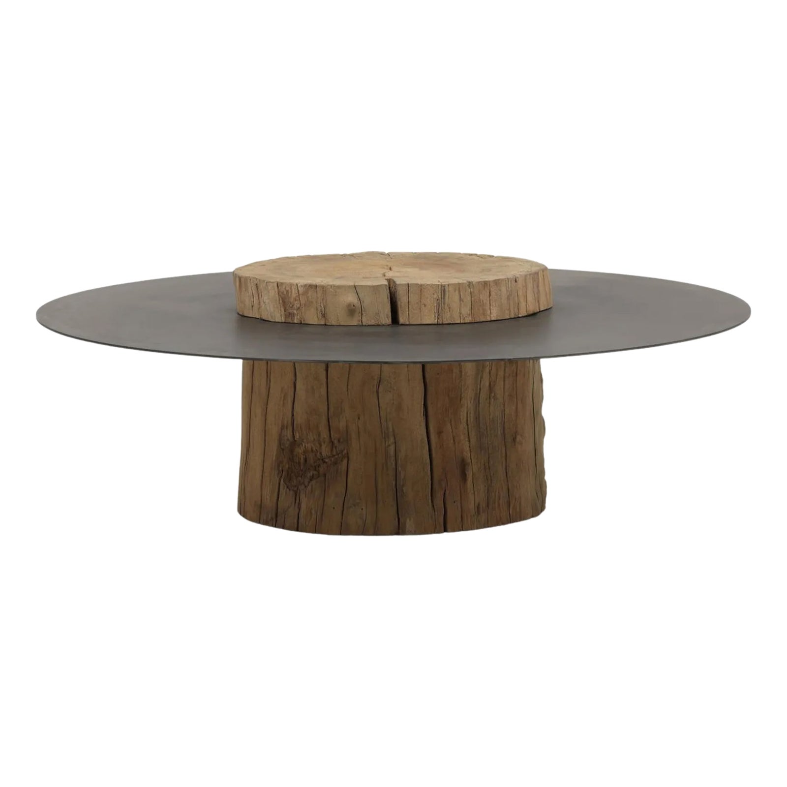 Iron Disk Stump Coffee Table | Chairish