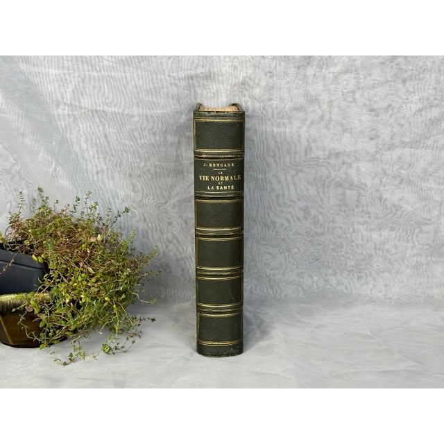 Antique Illustrated French Medical Book | Chairish