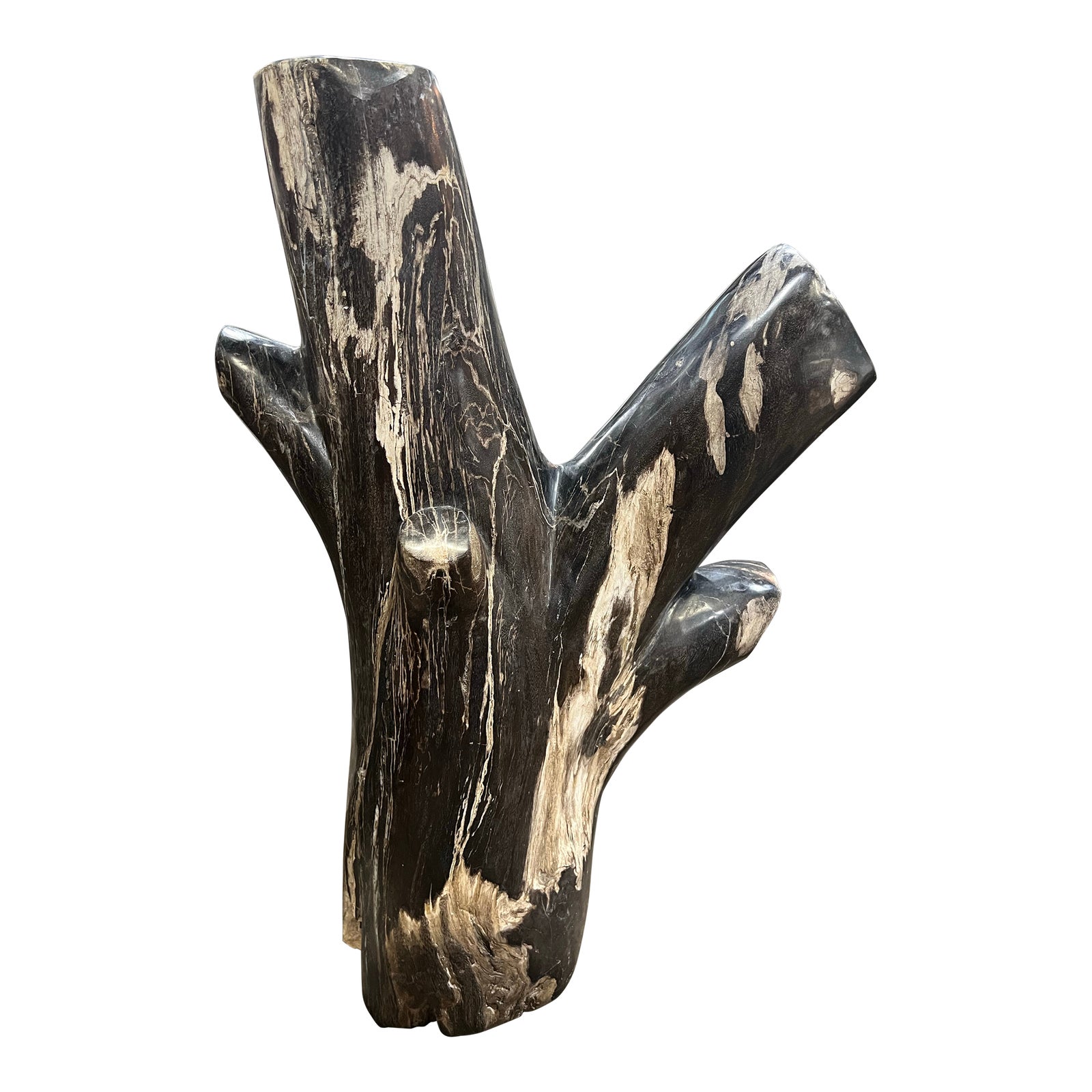 Black Petrified Tree Branch Sculpture | Chairish