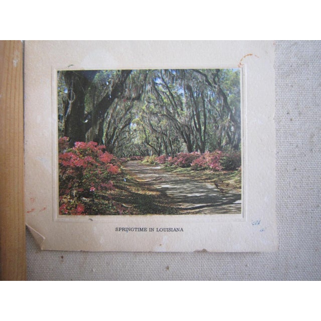 Southern Landscape Painting, Signed | Chairish