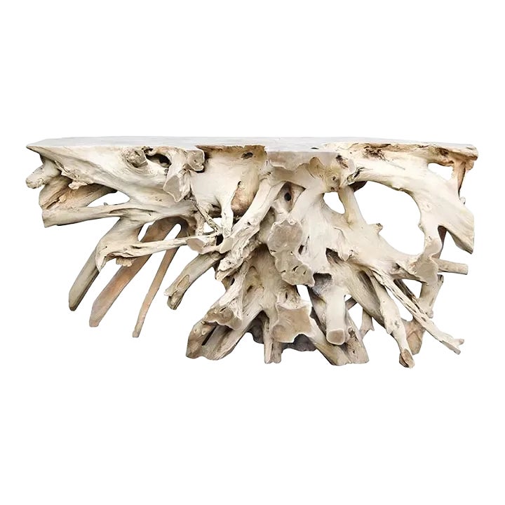Teak Root Console Table Bleached | Chairish