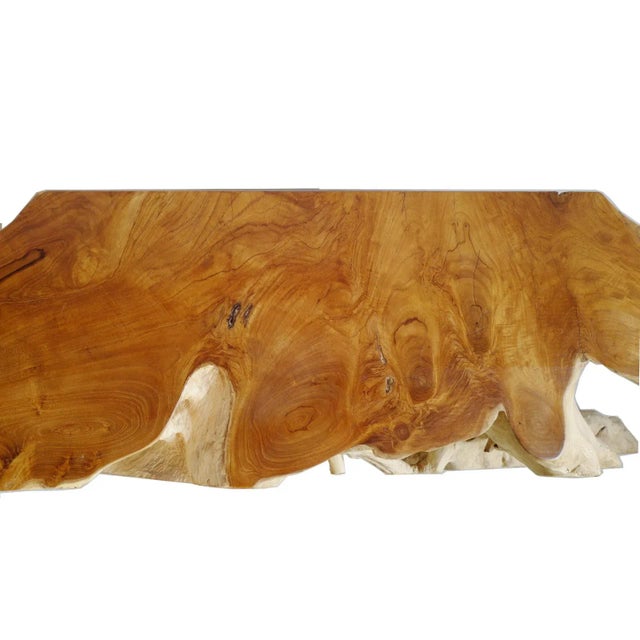 Modern Organic Teak Root Console Table | Chairish