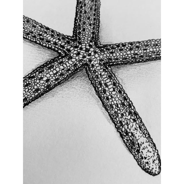 Original Pen & Ink Drawing "The Starfish" | Chairish