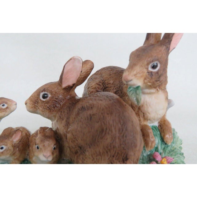 Royal Windsor Eastern Cottontail Rabbit Southern Forest Families ...