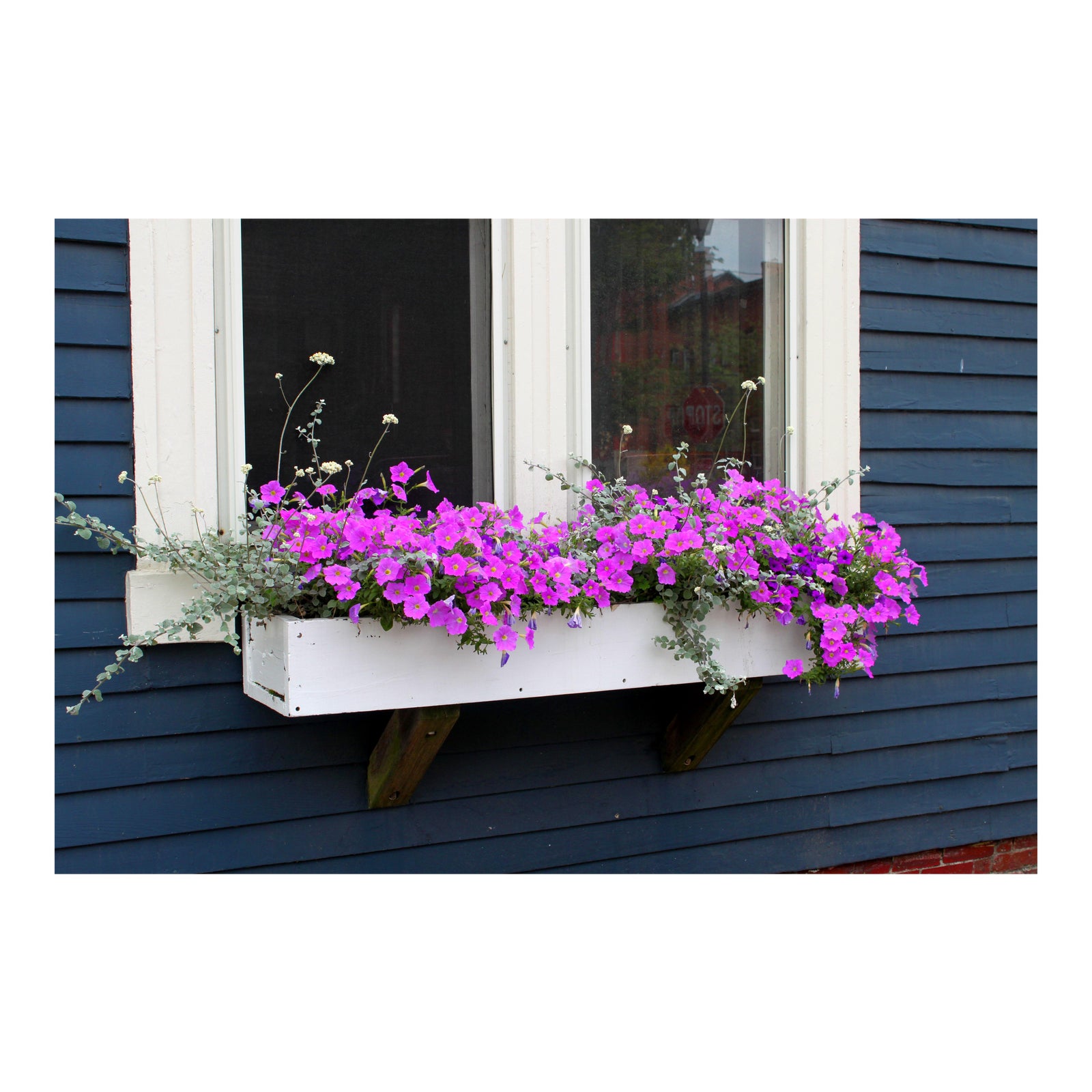Photography of Purple Flowers Window Box by Josh Moulton | Chairish