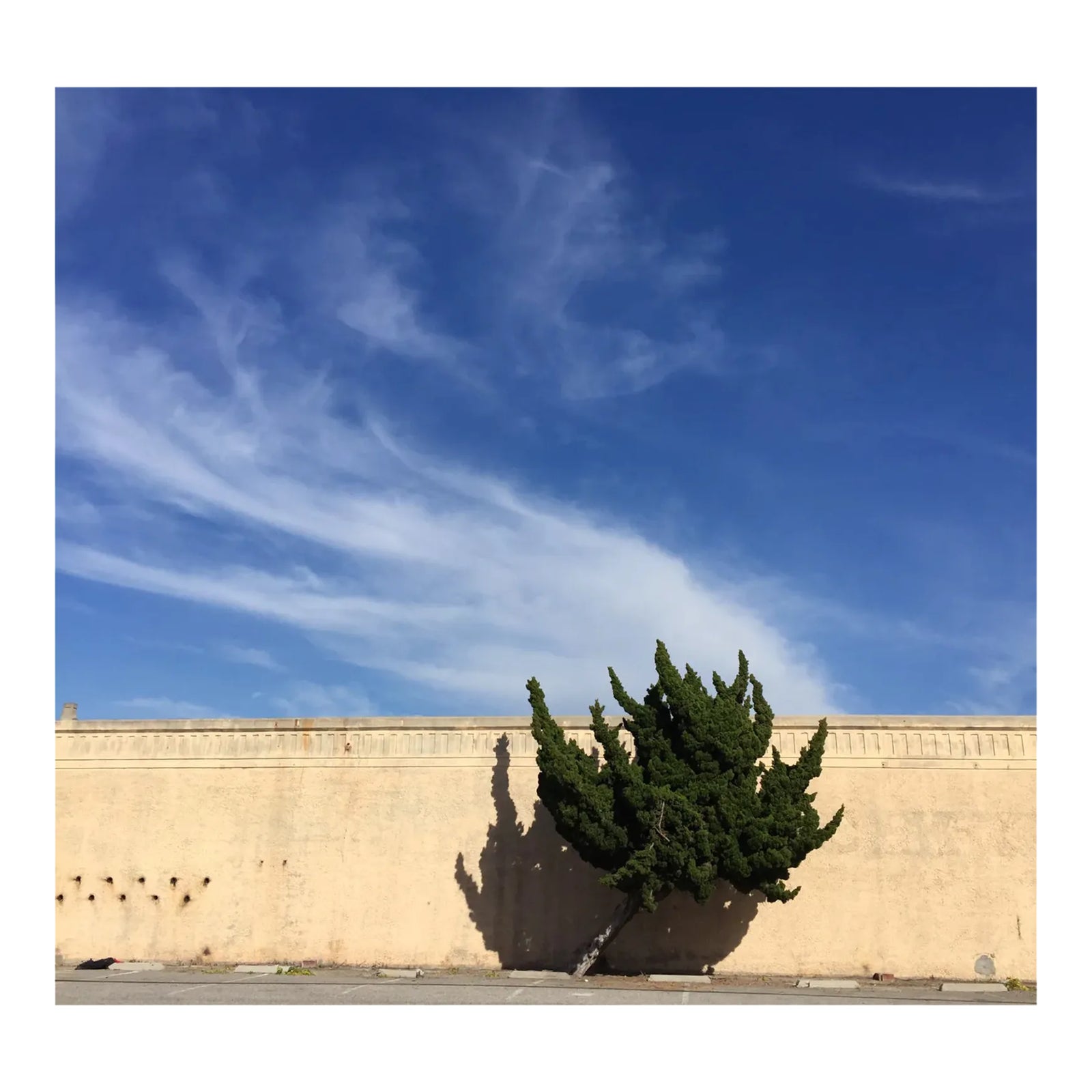 David Scharff "Wind, 2015" Color Photograph Archival Pigment Print ...