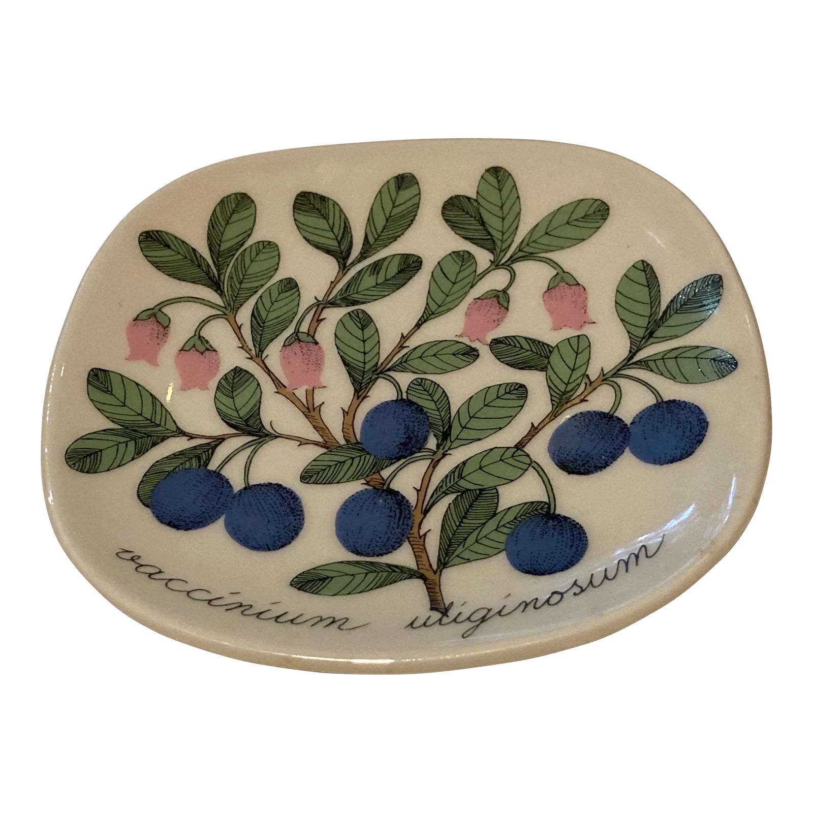 Vintage Esteri Tomula Arabia Finland Botanica Wall Plate Vaccinium ...