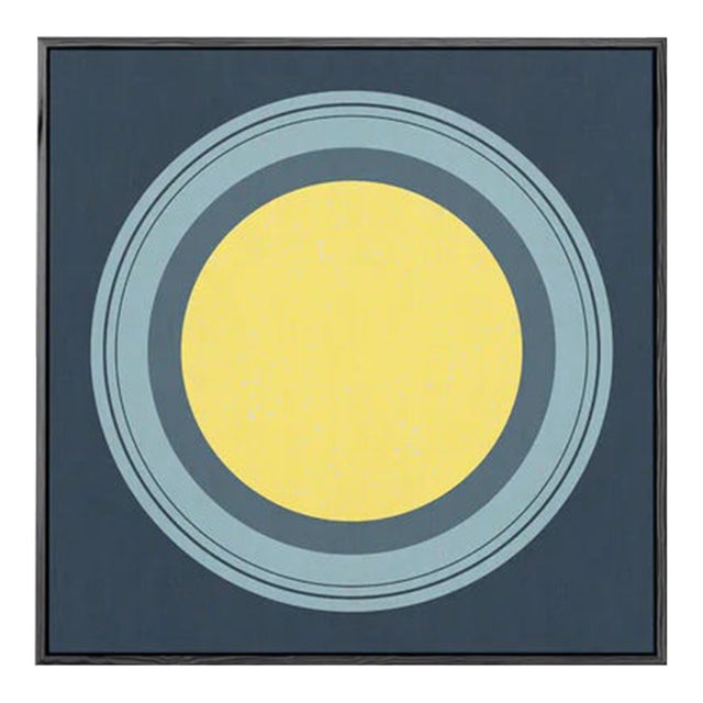 Floater Frame Circle IX - 30x30" | Chairish