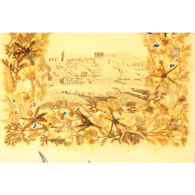 19th Century Watercolor & Herbarium Drawing of Acropolis & Calligraphy ...