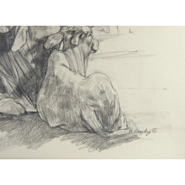 Contemporary Brigitte Woosley Brahman Cattle Pencil Study Drawing ...