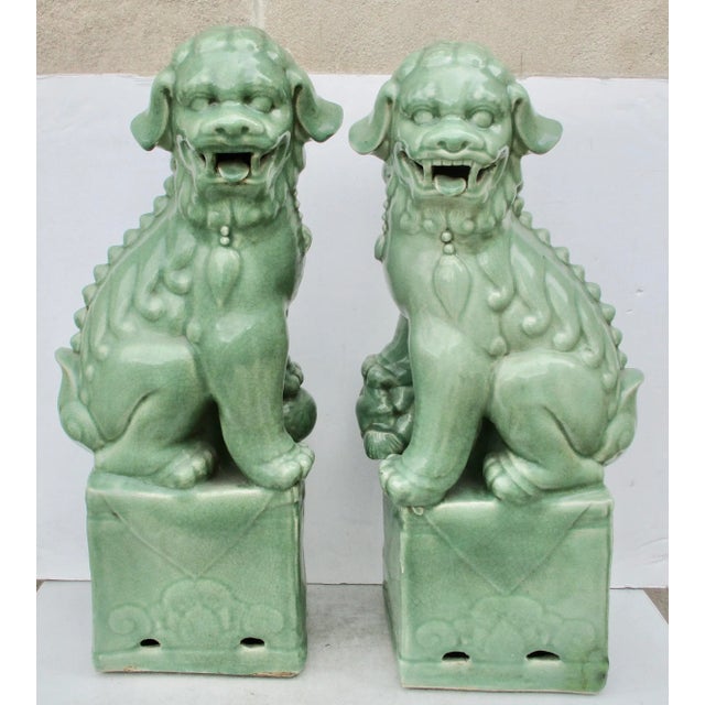 Chinese Celadon Porcelain Large Foo Dogs - a Pair of 2 | Chairish