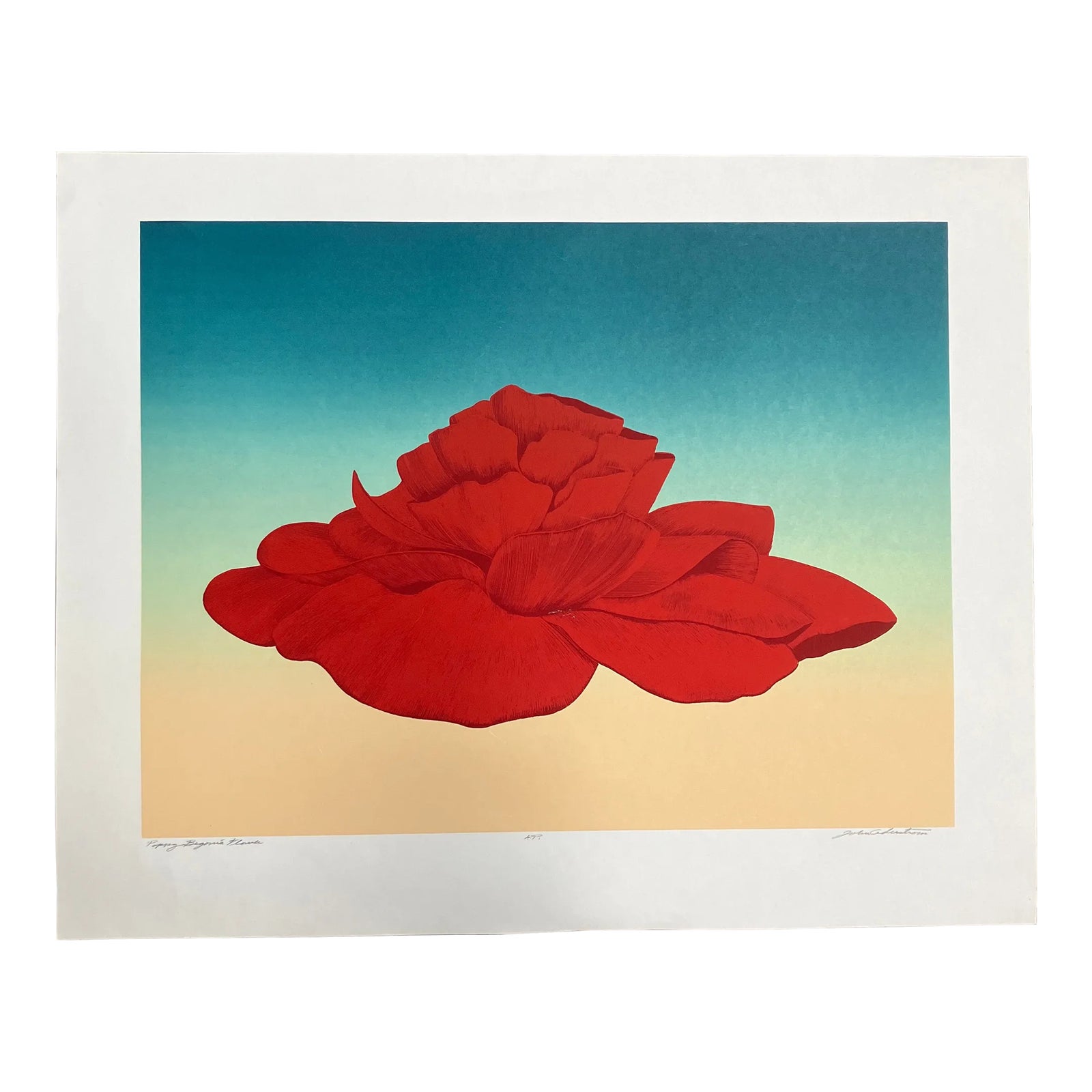 1980’s Original Contemporary Lithograph by John Cederstrom “Poppy ...