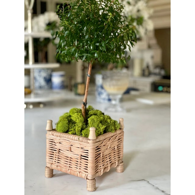 Wicker Box Planter in Tan, Mini | Chairish