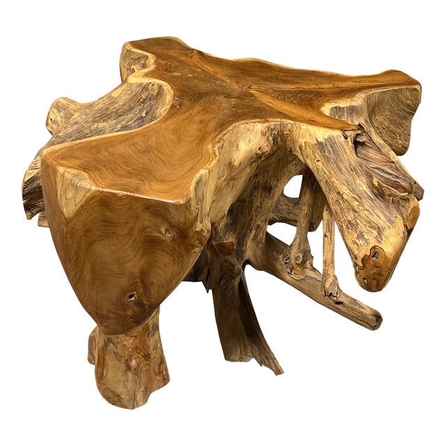 Natural Teak Root Coffee Table | Chairish