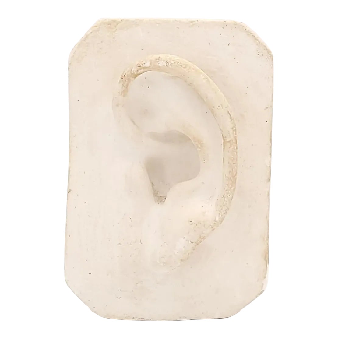 Artist's Plaster Model of an Ear, Circa 1880 | Chairish
