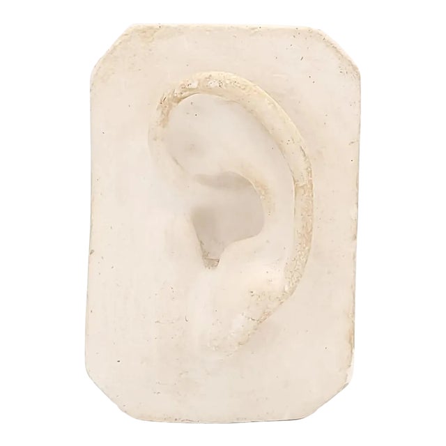 Artist's Plaster Model of an Ear, Circa 1880 | Chairish
