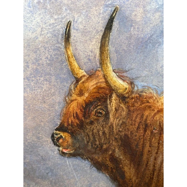 19th Century Scottish Highland Watercolour Painting Prized Longhorn ...