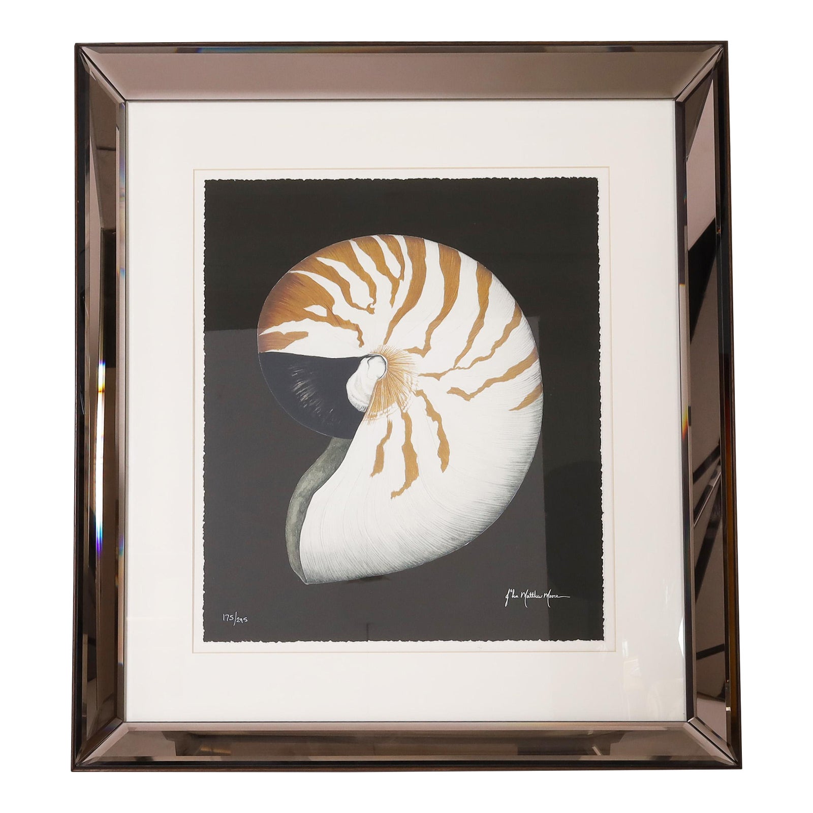 Vintage Nautilus or Seashell Stone Lithograph in a Mirrored Frame ...
