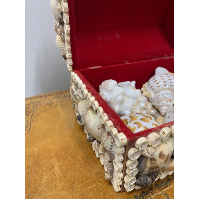 Vintage Handmade Sea Shell Encrusted Collectors Box | Chairish
