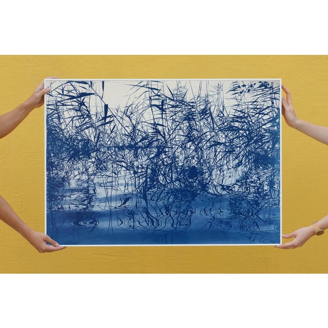 Contemporary Cyanotype on Watercolor Paper, "Mystic Louisiana Marsh ...