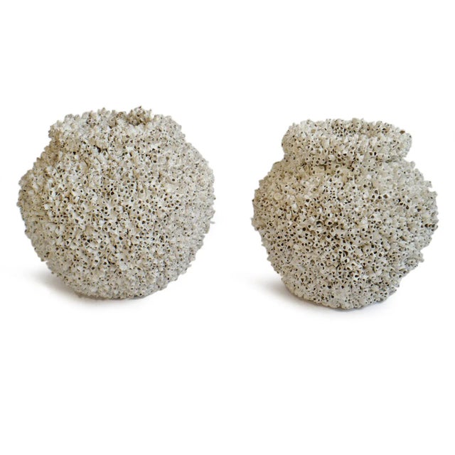 White Barnacle Shell Pot | Chairish