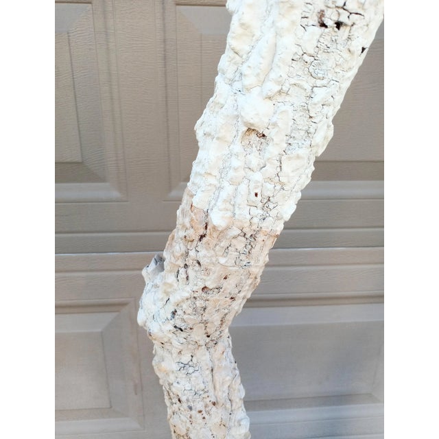 Unique Extra Tall Organic Coastal Tree Limb Branch Sculptures Art ...