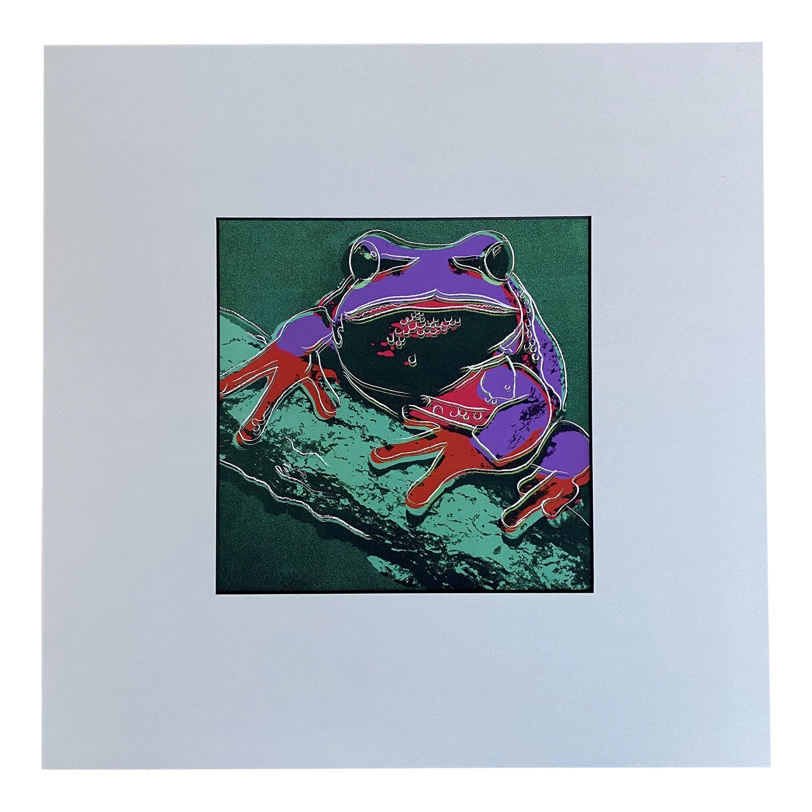 1987 Andy Warhol Endangered Species "Pine Barrens Tree Frog - 1983" Art ...