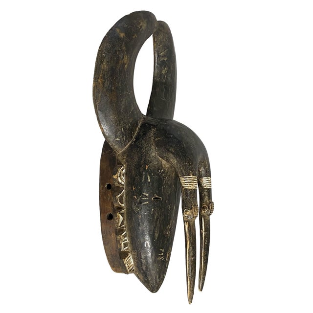 Stunning Large Old African Baule Portrait Mask Cote d'Ivoire 21" H ...