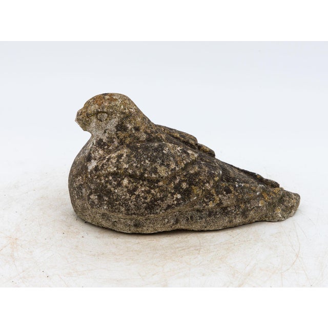 Stone Dove Garden Ornament, England 20th Century | Chairish