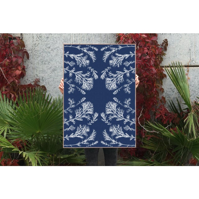 "Vintage Botanical Pressed Flowers Nº3", Botanical Cyanotype, Limited ...