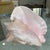 Vintage Queen Conch Shell Specimen | Chairish