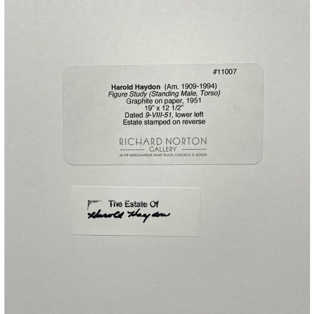 Vintage Nude Male Pencil on Paper Figure Study by Artist Harold Haydon ...